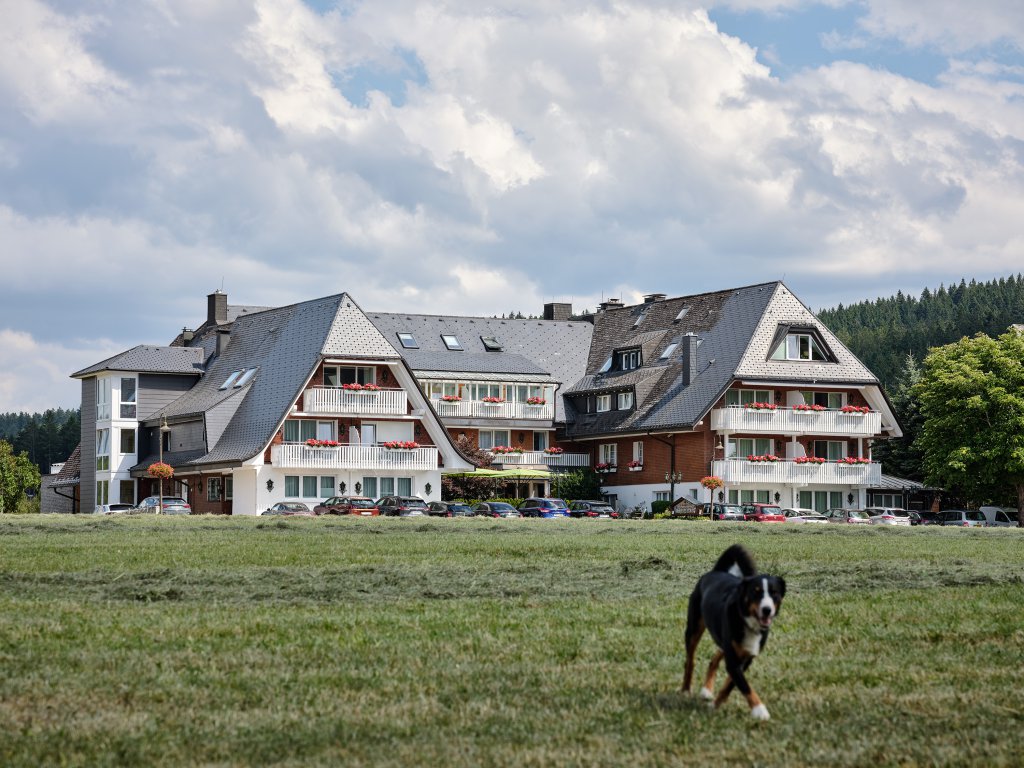 Bildergalerie - Hotel Reppert