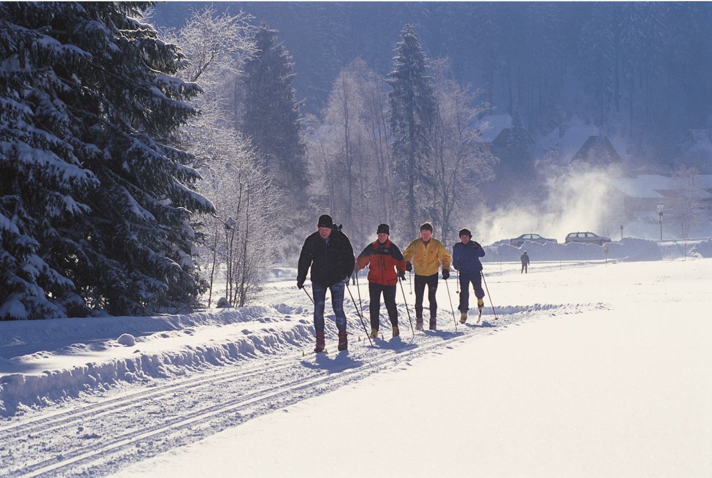 Winter activities - Black Forest Activ - Hotel Reppert
